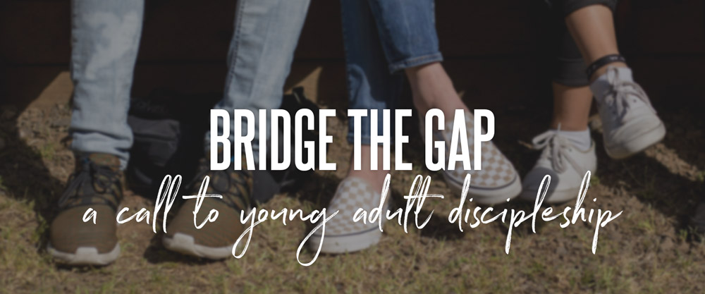 Bridge the Gap